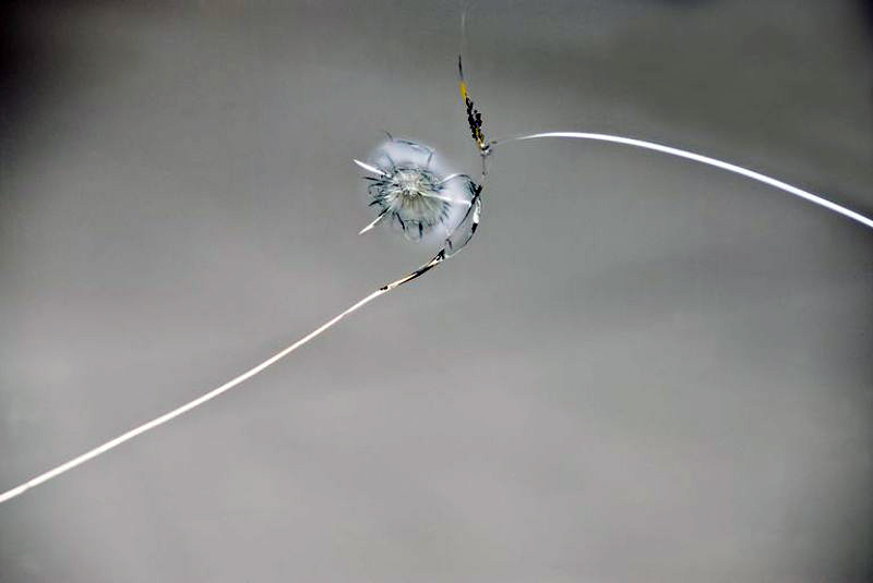 Windshield Chip Repair - An Easy DIY Guide - eBay Motors Blog