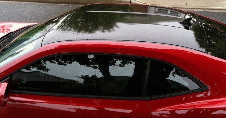 Car Roof Wraps: Express Yourself from the Top of Your Car - eBay Motors ...