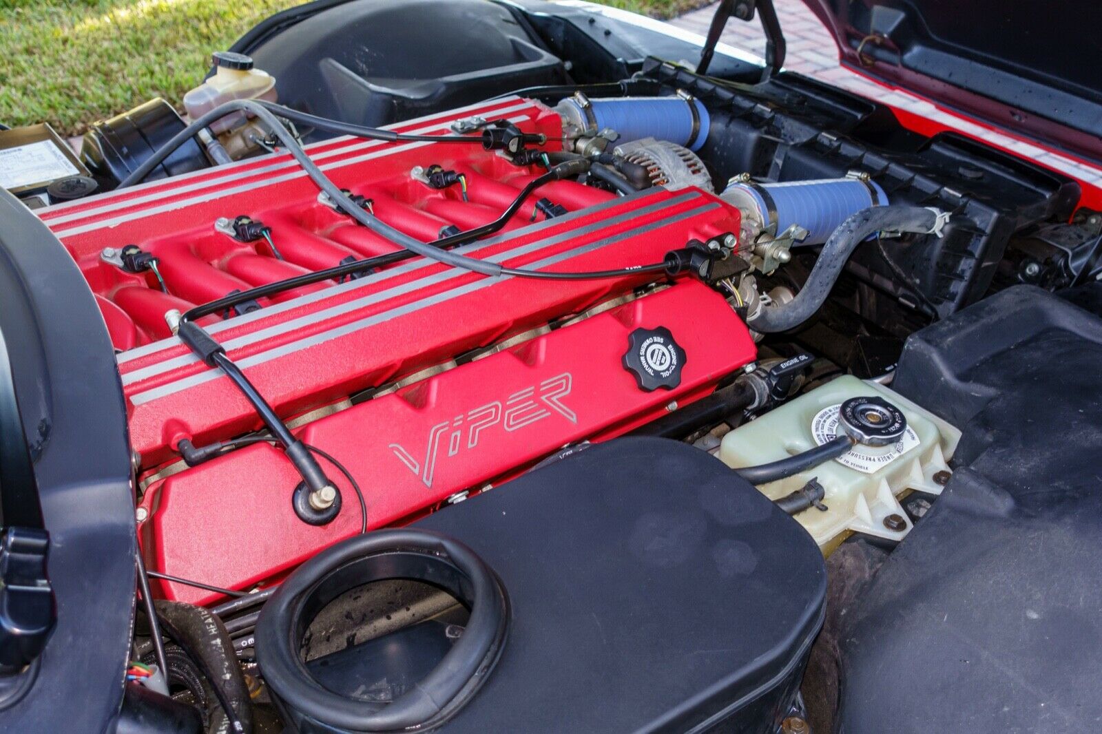 The Snake-Charming 400HP 1995 Dodge Viper - eBay Motors Blog