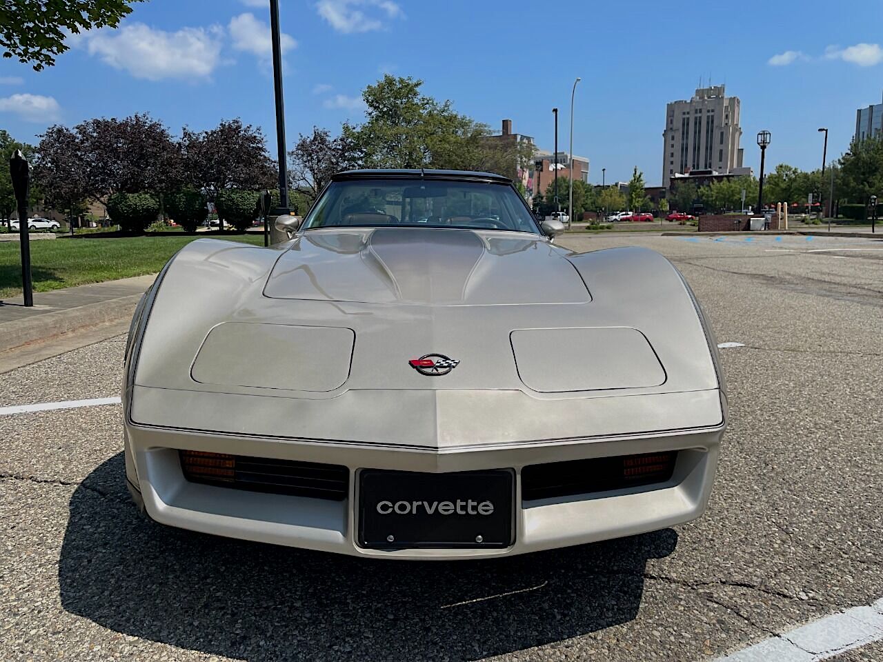 ‘82 Corvette Collector Edition Was Swan Song for C3 - eBay Motors Blog
