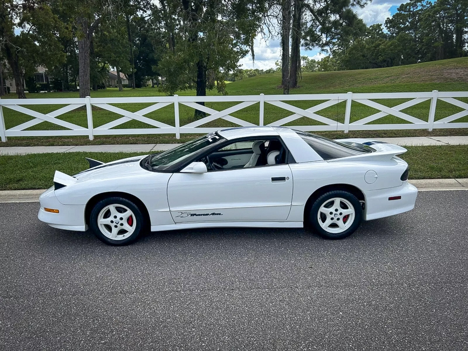 An Immaculate 1994 25th Anniversary Pontiac Trans Am - eBay Motors Blog