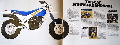 Big-Tire Honda Fat Cat Is a Rare, User-Friendly Ride - eBay Motors Blog