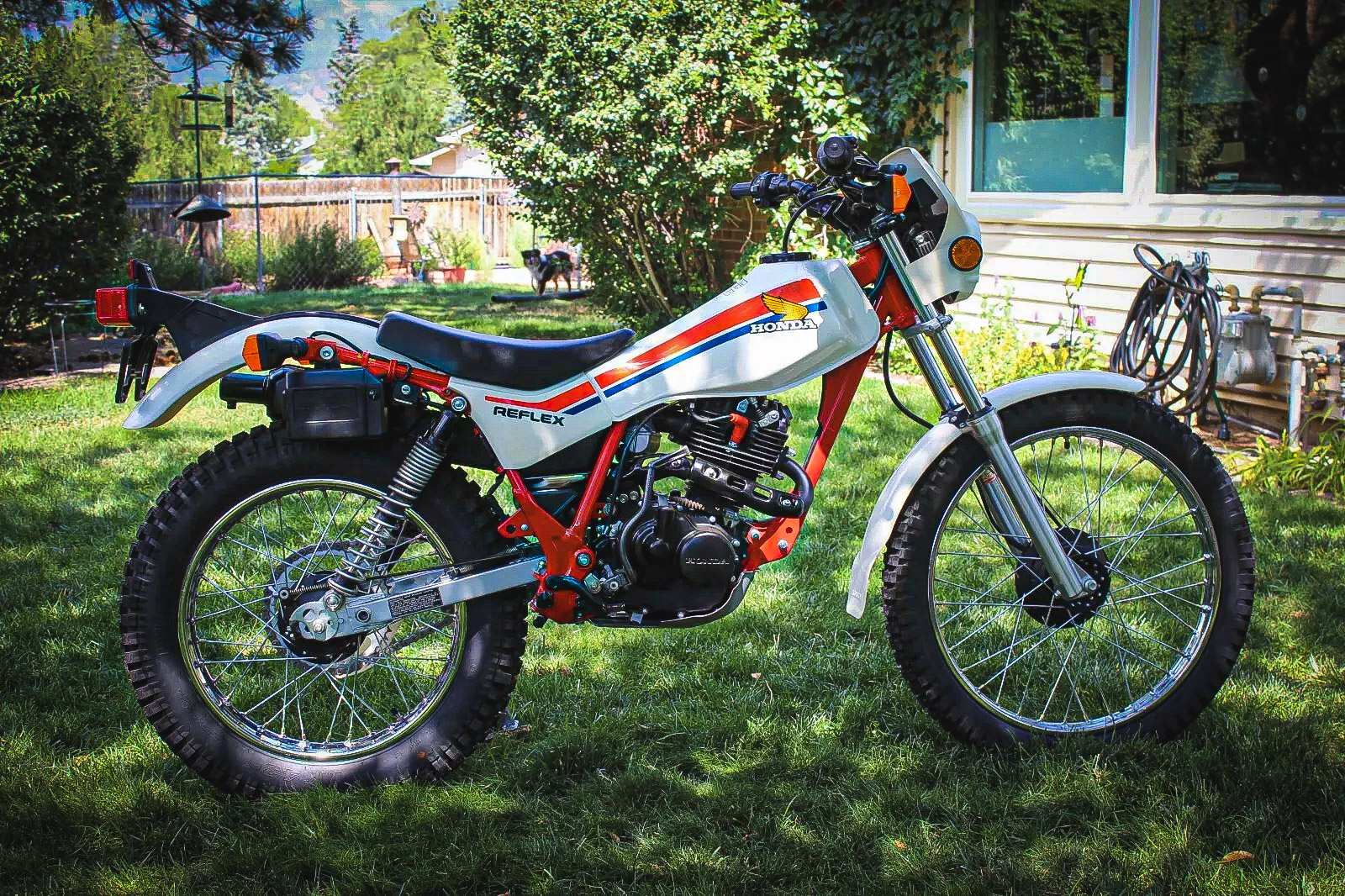 Is This Immaculate Honda TLR200 Too Nice to Ride? - eBay Motors Blog