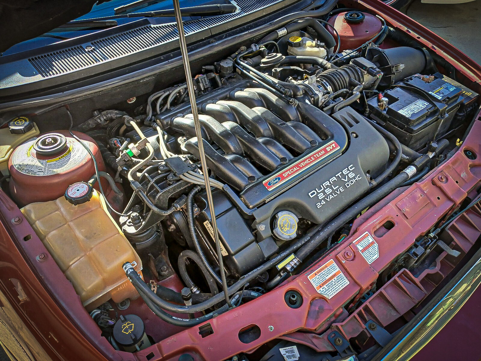 Contour SVT: Ford’s Forgotten M3 Fighter - eBay Motors Blog